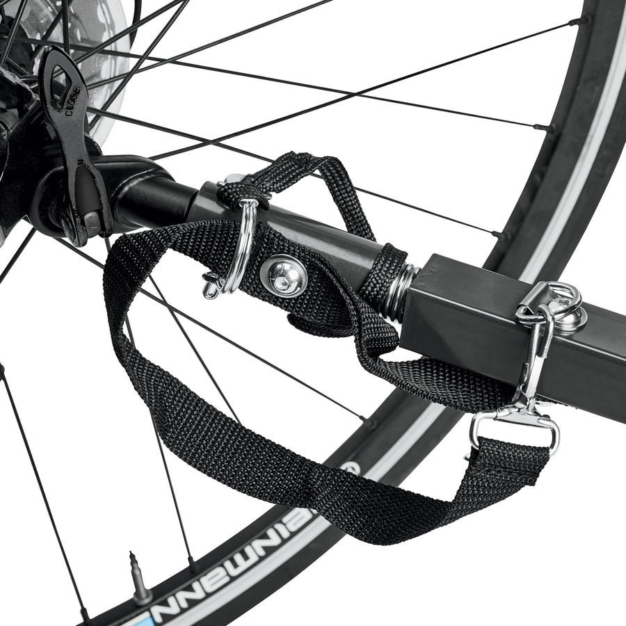 Deluxe Child Bike Trailer – Allen.Bike